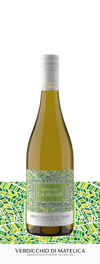 Discover Verdicchio at Riva de la Rosa | Taste Italian Excellence